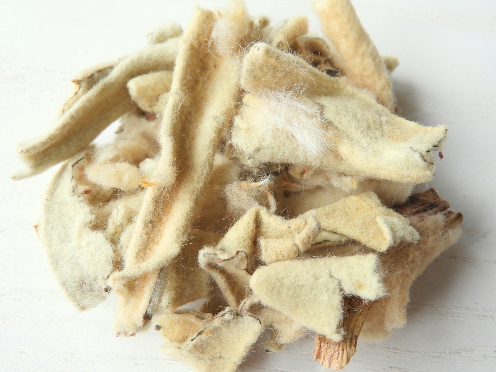 WIRA WIRA | Herbář peruánských bylin a rostlin z And a Amazonie