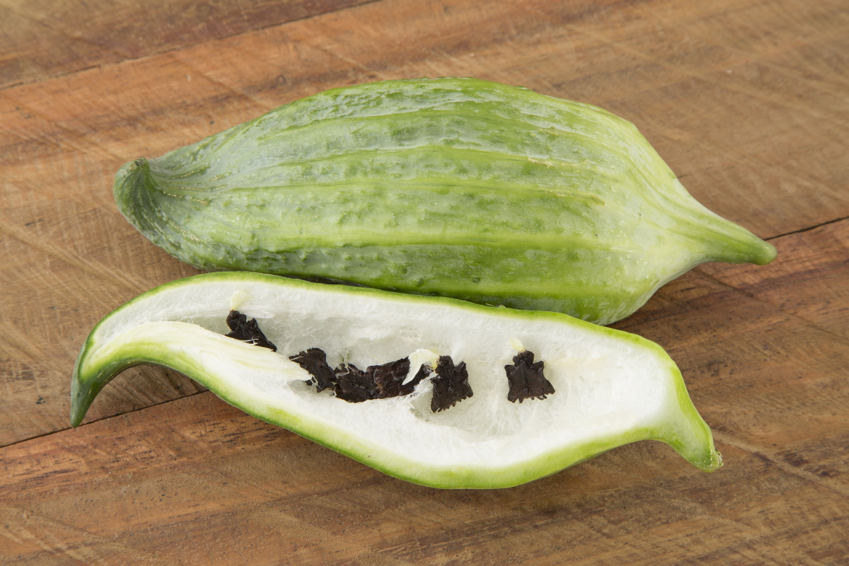 CAIGUA | Herbarium of Peruvian herbs and plants from the Andes and the ...